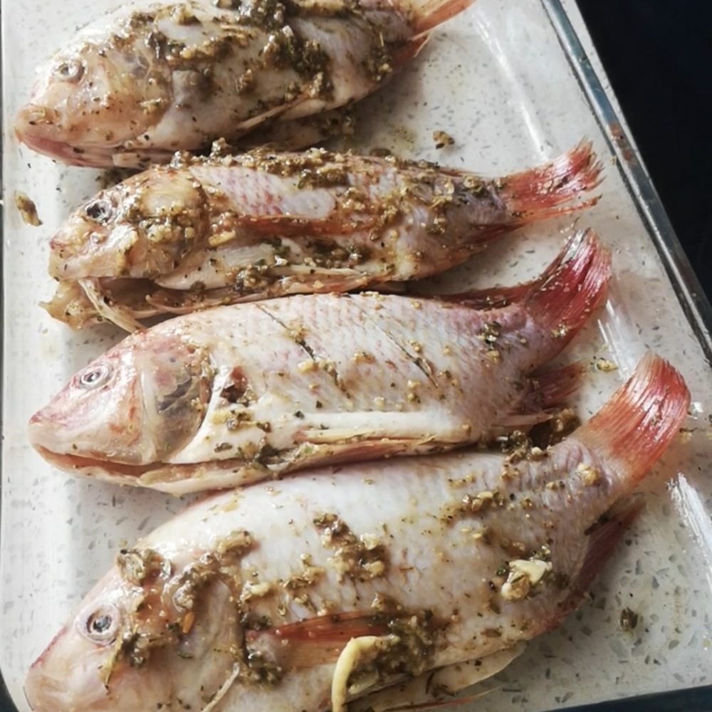 COMO PREPARAR LA MOJARRA FRITA MAS DELICIOSA - Irma Barrera Recetas